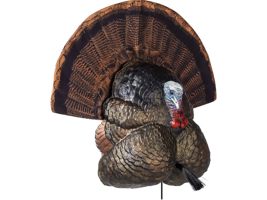 Flextone Thunder Creeper Turkey Decoy – All Things Outdoors